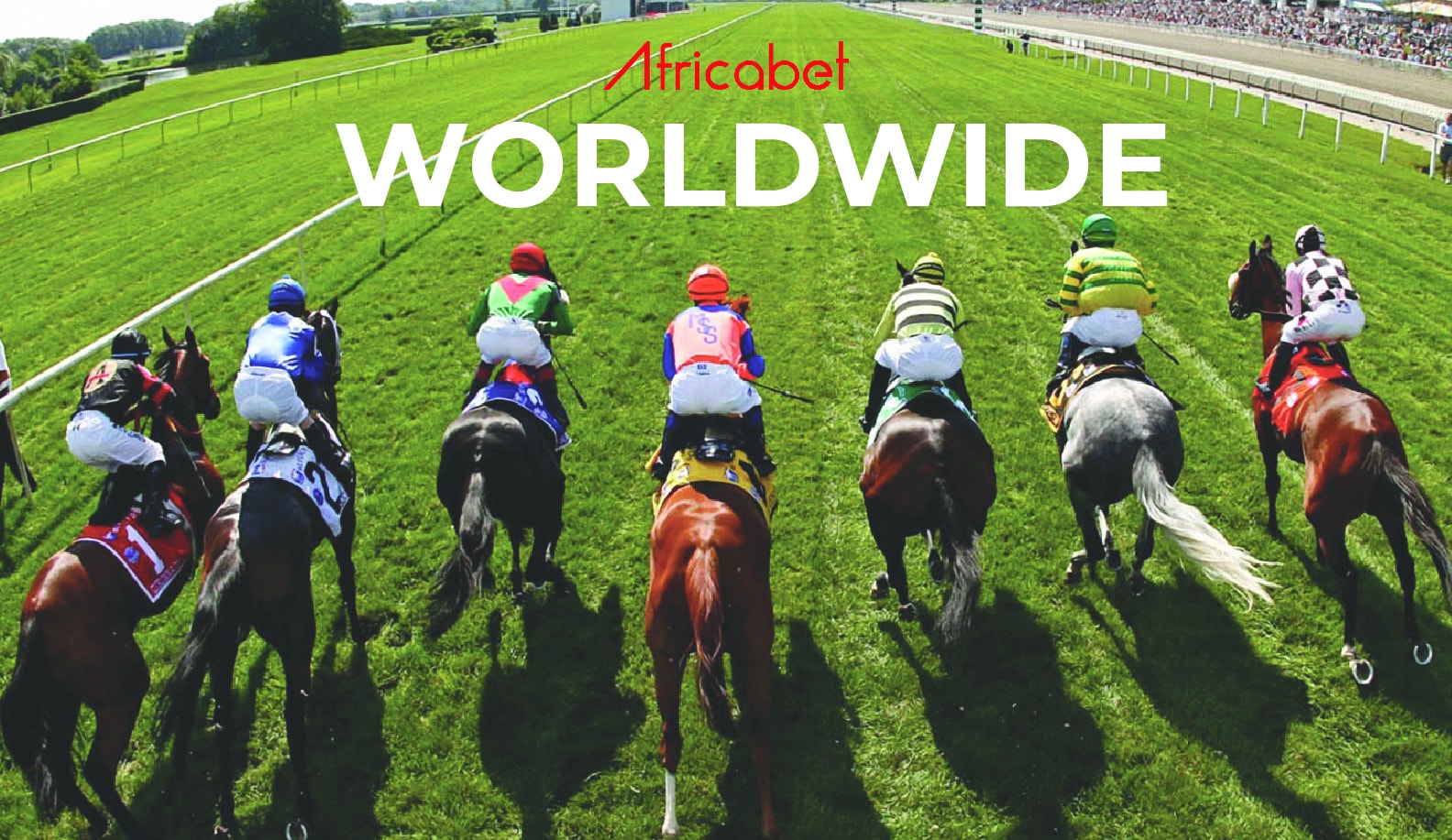 Africabet | Best Online Sports Betting – africabet593.com